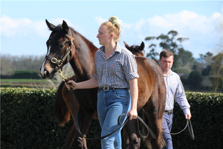 Irish National Stud Scholarship Recipients Announced | Racing and Sports