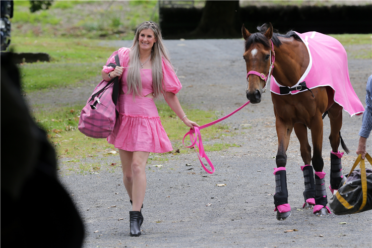From Gymkhanas To Group Races | Racing and Sports