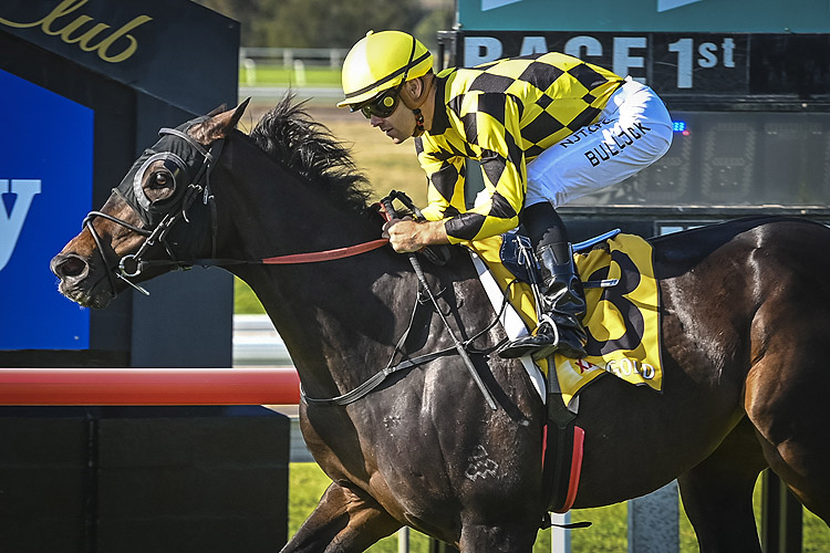 Kempsey (Australia) Racecourse | Thoroughbred | Races Today | Racing ...