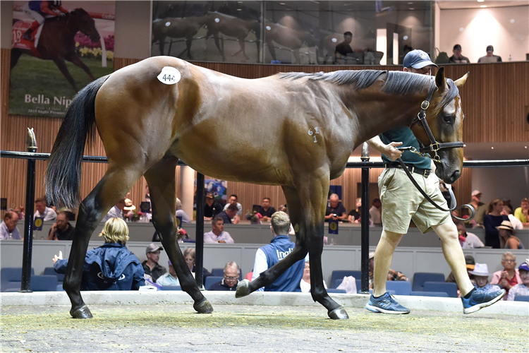 Moroney Aboard The Alabama Express | Racing and Sports