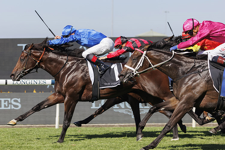 Anamoe Adds Potential Sprinkle Of Stardust To Lockinge | Racing and Sports