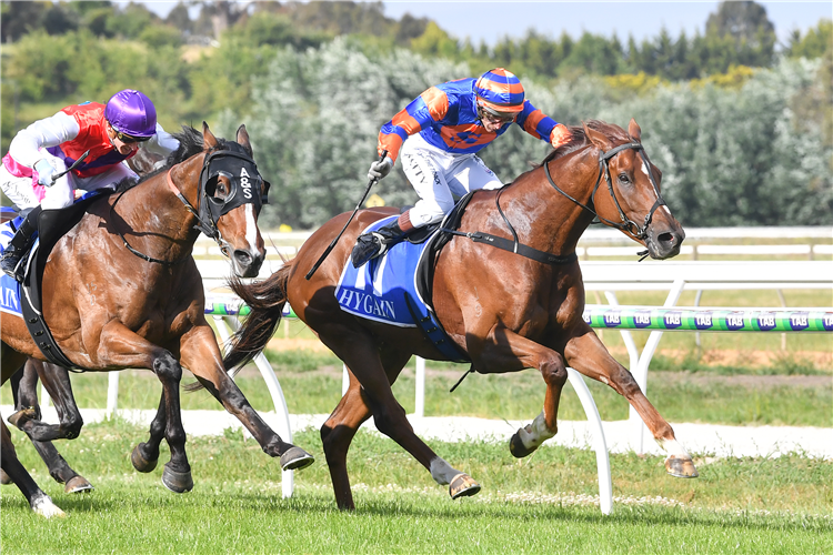 Victorian Form Preview - Kyneton | Rsn | Racing and Sports