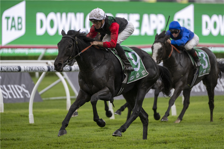 Arts Wins Group 3 Tab Adrian Knox Stakes: Post Race Trainer And Jockey ...