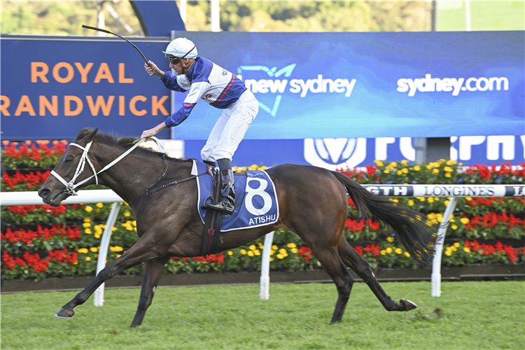 Atishu Wins Group 1 Sydney Queen Of The Turf Stakes: Post Race Trainer ...