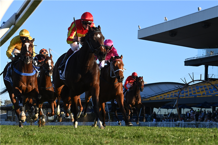 Brad Gray's Tips For Rosehill Gardens (Saturday) | Racing and Sports