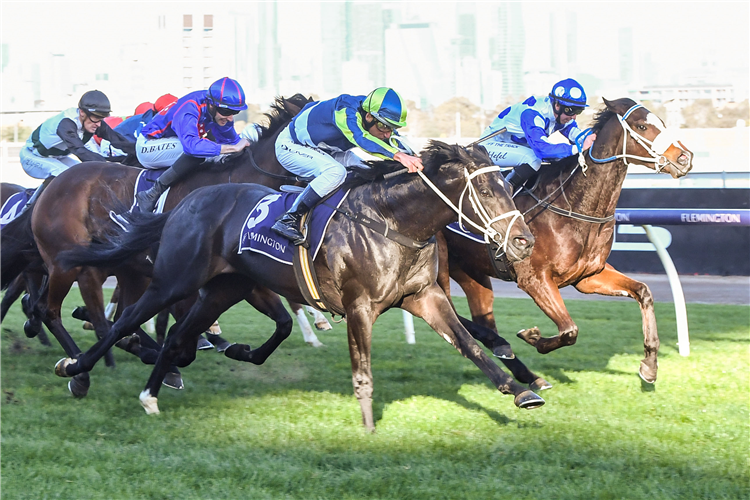 Star's Weighty Task In Auckland Cup | Racing and Sports