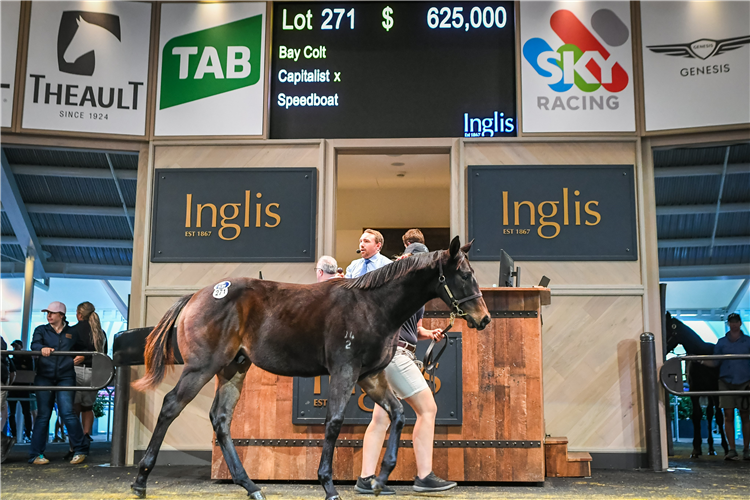 Captivant’S Brother Equals Inglis Benchmark | Racing and Sports