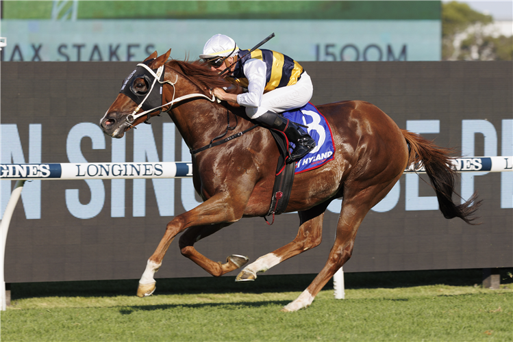 Cepheus Wins Group 2 Hyland Race Colours Ajax Stakes: Post Race Trainer ...