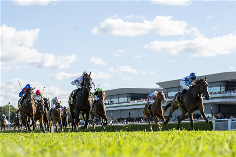 Today's Horse Racing Tips - 19th April 2023 | Racing and Sports