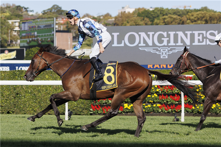 Explosive Jack Wins Group 1 Schweppes Sydney Cup: Post Race Trainer And ...