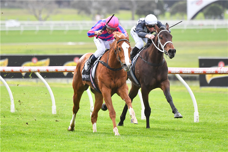 10 Questions With Jessie Bazan | Racing and Sports