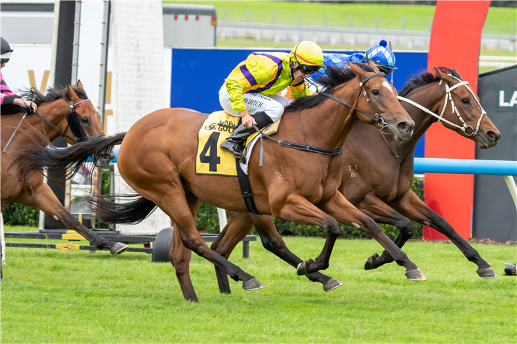 Good And Proper Wins Flying Artie @ Blue Gum Vobis Gold Distaff: Post ...