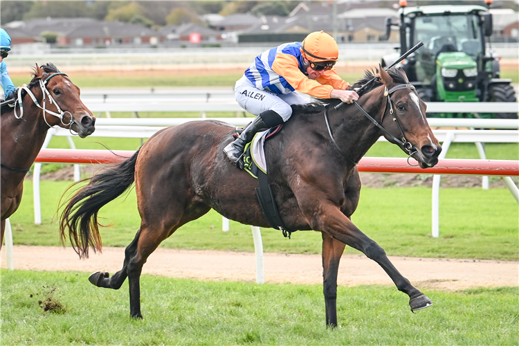 Home Rule Wins Tab Bets Friends Bm78 Handicap: Post Race Trainer And ...