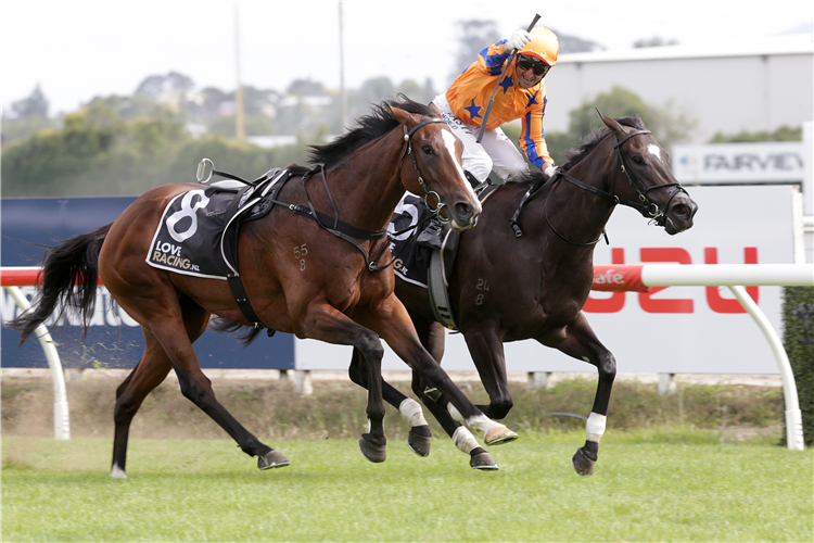 2024 Waikato Sprint: Race History | Racing and Sports