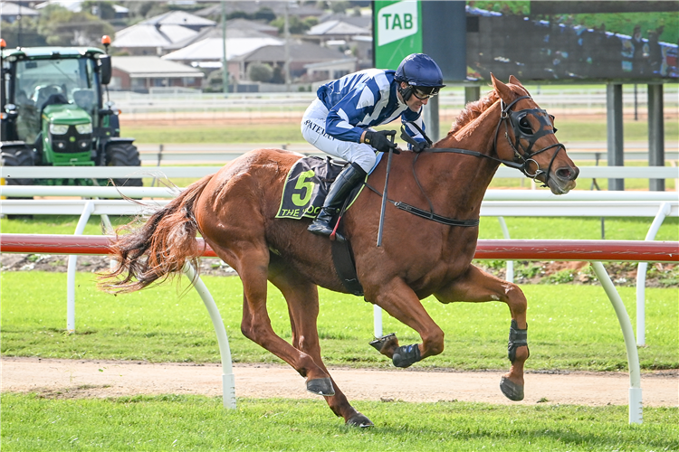 Impulsar Wins Choices Flooring Warrnambool Maiden Hurdle: Post Race ...