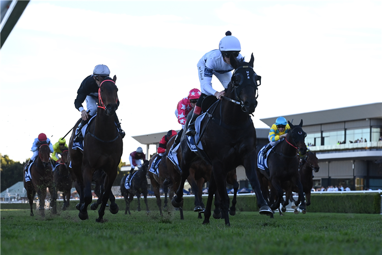 Today’S Horse Racing Tips - 26th June 2023 | Racing and Sports