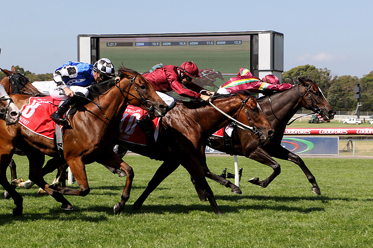 2023 Weekend Review - Episode #5 | Racing and Sports