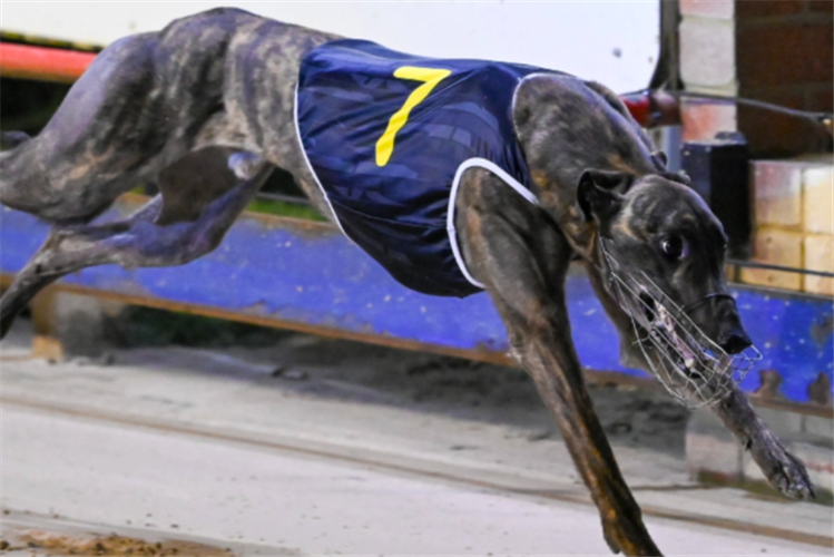 Jarick Bale Looking To Create History | Racing and Sports