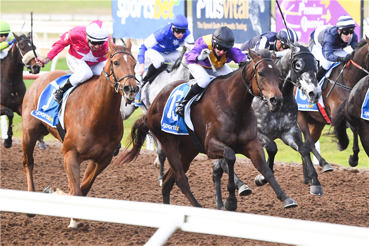Corowa (Australia) Racecourse | Thoroughbred | Races Today | Racing and ...