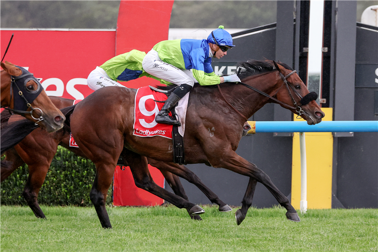 Lafargue Wins Jack Elliott Bm70 Handicap: Post Race Trainer And Jockey ...