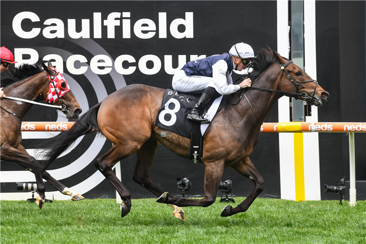 Maktoob Wins Beck Grand Handicap: Post Race Trainer And Jockey Quotes ...