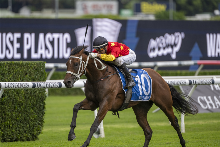 Militarize Wins Group 1 Inglis Sires’: Post Race Trainer And Jockey ...