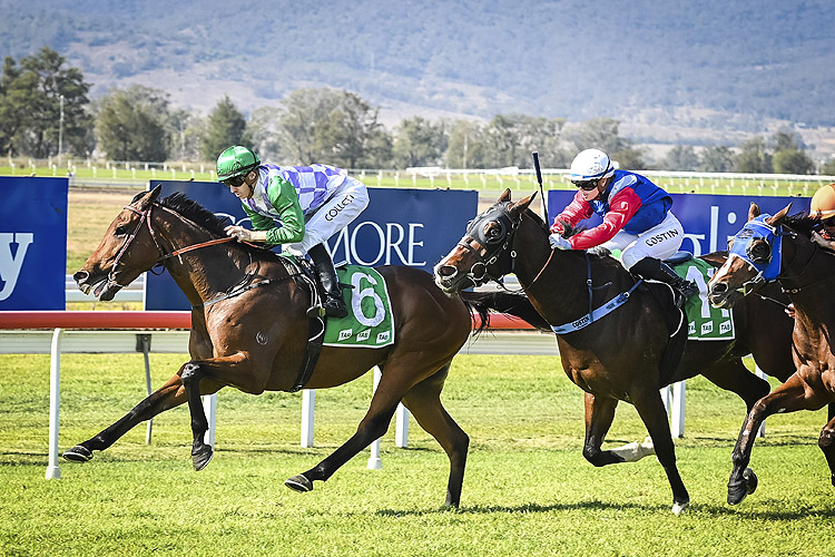 Smith Banking On Miracle Spinning Up Another Big Finish | Racing and Sports