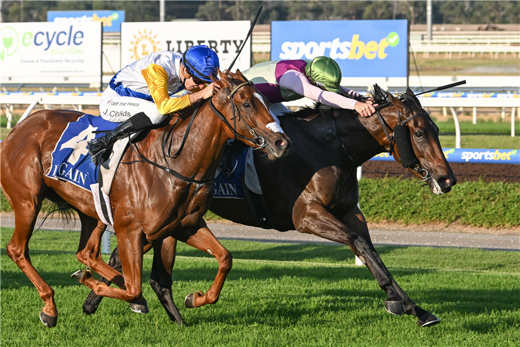 Miss Icelandic Thoroughbred Horse Profile - Next Race, Form, Stats ...