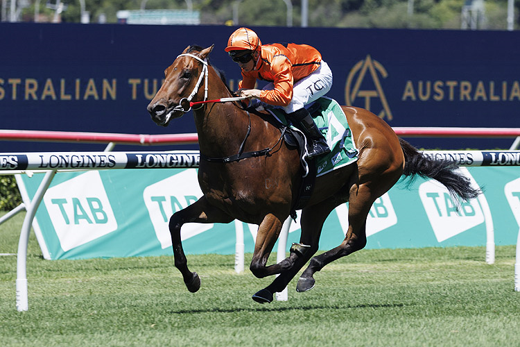 Collings Giving Unbeaten Mogo Early Kosciuszko Audition | Racing and Sports