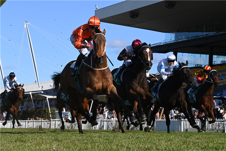 What You Missed - Rosehill, 1st July 2023 | Racing and Sports