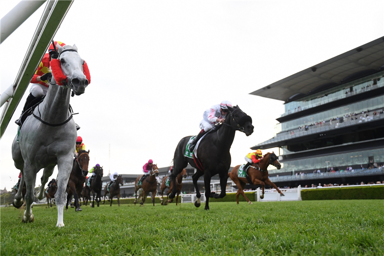 Today’S Horse Racing Tips - 28th October 2023 | Racing and Sports