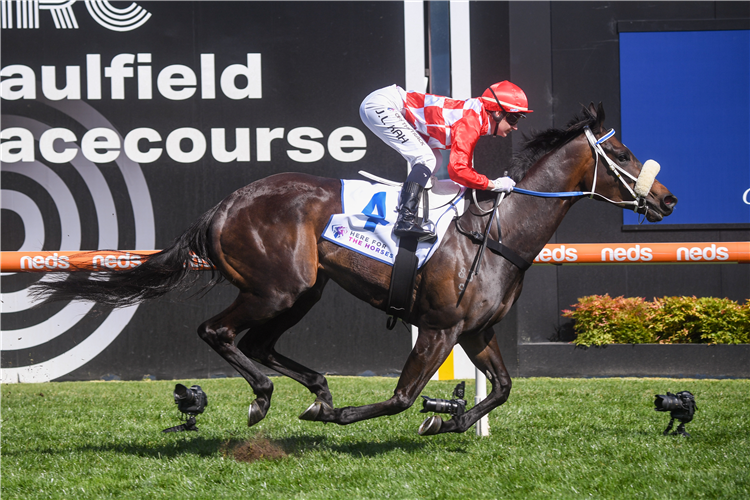 Nunthorpe Wins Here For The Horses Handicap: Post Race Trainer And ...