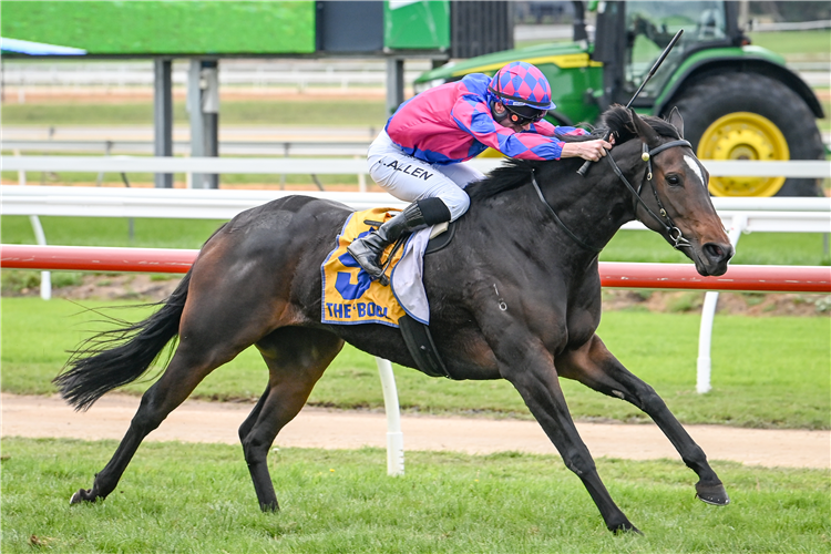 Our August Rose Wins Catanach’S Jewellers F&M Bm70 Handicap: Post Race ...