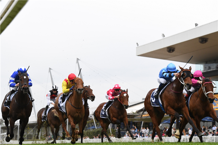 Today’S Horse Racing Tips - 6th August 2023 | Racing and Sports