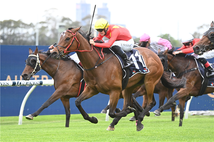 John Schell's Tips For Gunnedah (Tuesday) | Racing and Sports