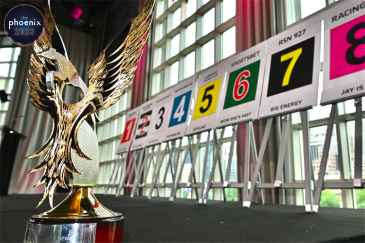 Daily Greyhound Tips (December 16, 2023) | Racing and Sports