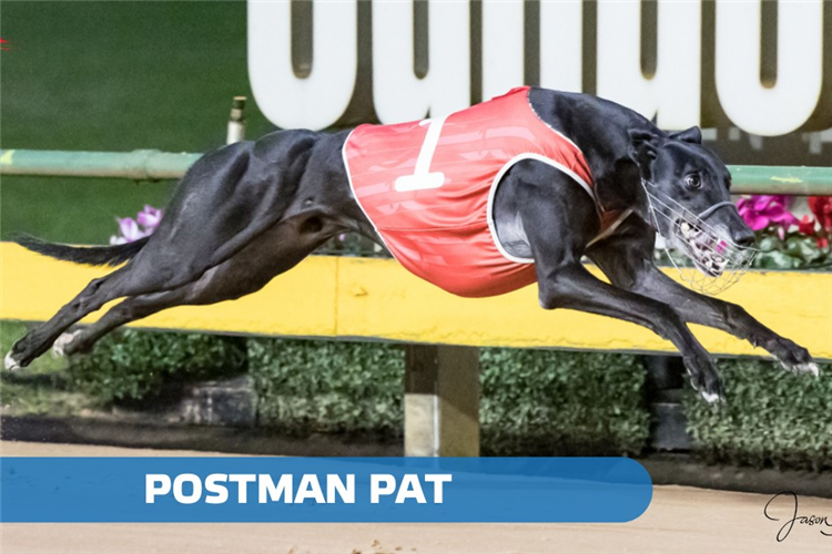 Jason Thompson Talks Postman Pat | Rsn | Racing and Sports