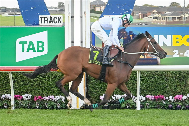 Pure Deal Wins Unboolievable Maiden Hurdle: Post Race Trainer And ...