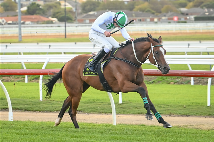 Bella's Shot At The Big Dance | Racing and Sports