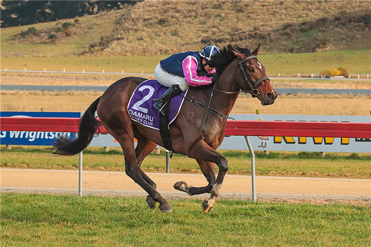 Hintons Head South In Search Of Better Ground | Racing and Sports