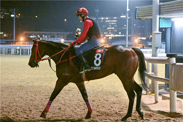 Romantic Warrior To Face Seven Rivals In G1 Jebel Hatta | Racing and Sports