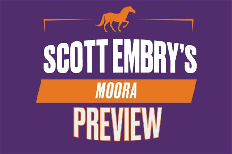 Scott Embry’S Saturday Moora Preview | Racing and Sports