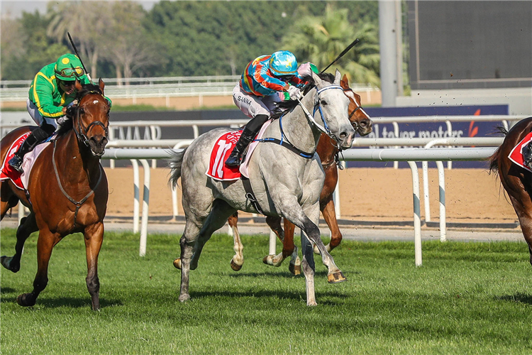 Douglas Whyte Declares Russian Emperor On Song After Eye-Catching Dubai ...