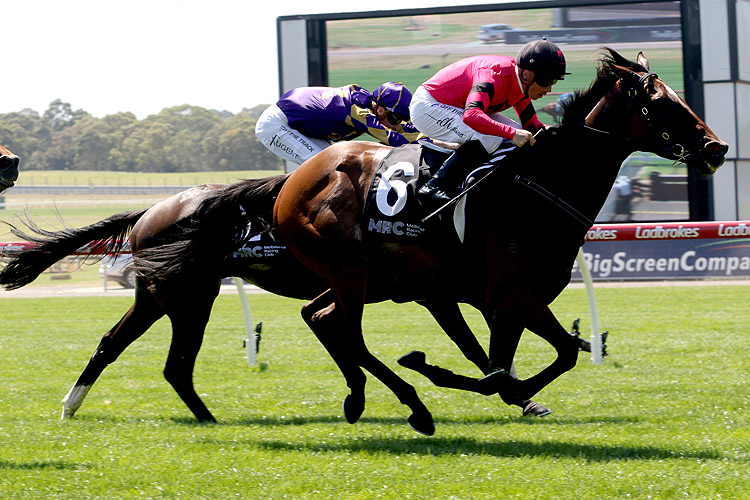 Cup Dream Alive For So Unusual | Racing and Sports