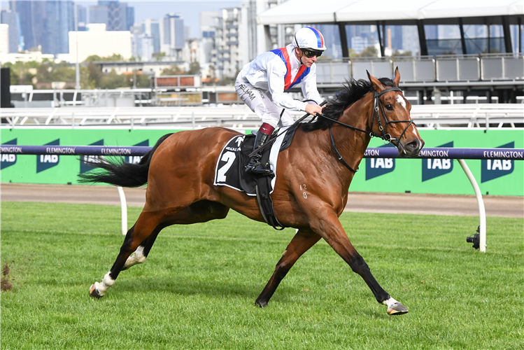 Star Patrol Wins Group 2 Gilgai Stakes: Post Race Trainer And Jockey ...