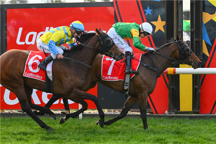 Sandown-Lakeside (Australia) Racecourse | Thoroughbred | Races Today ...