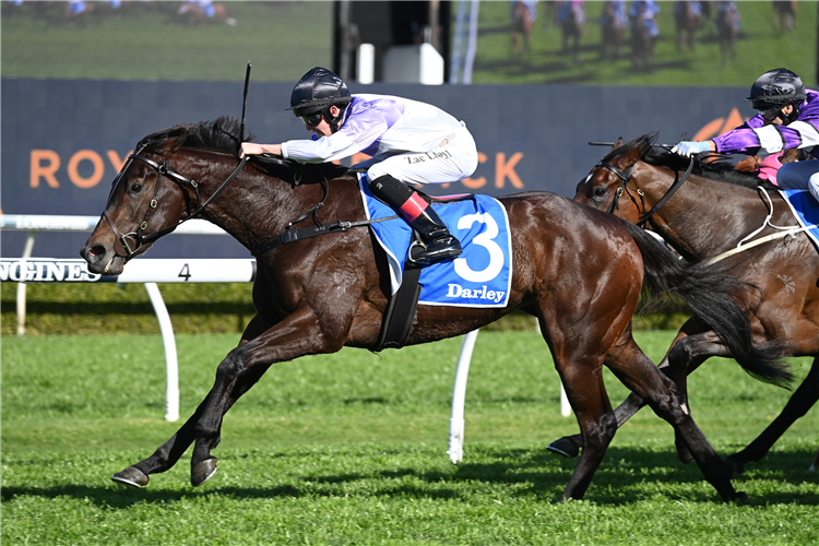 Tiz Invincible Wins Group 2 Darley Furious Stakes: Post Race Trainer ...