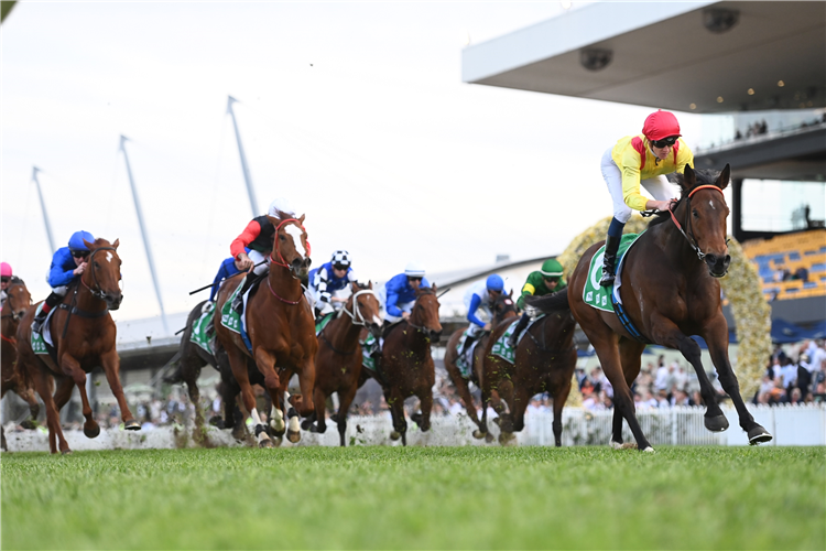 Today’S Horse Racing Tips - 25th September 2023 | Racing and Sports