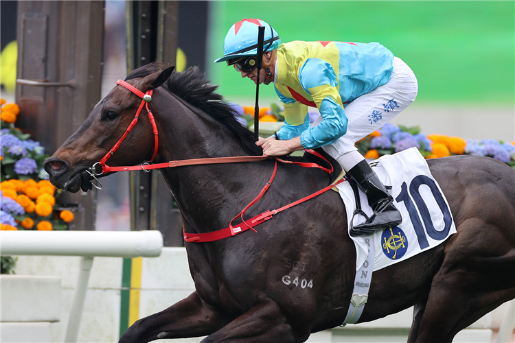Exciting Young Guns Lock Horns At Sha Tin | Racing and Sports