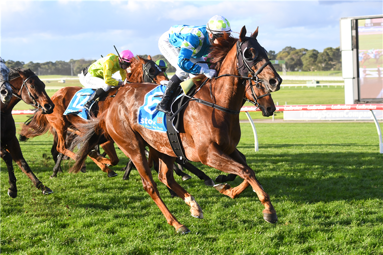 Today’S Horse Racing Tips - 16th June 2023 | Racing and Sports